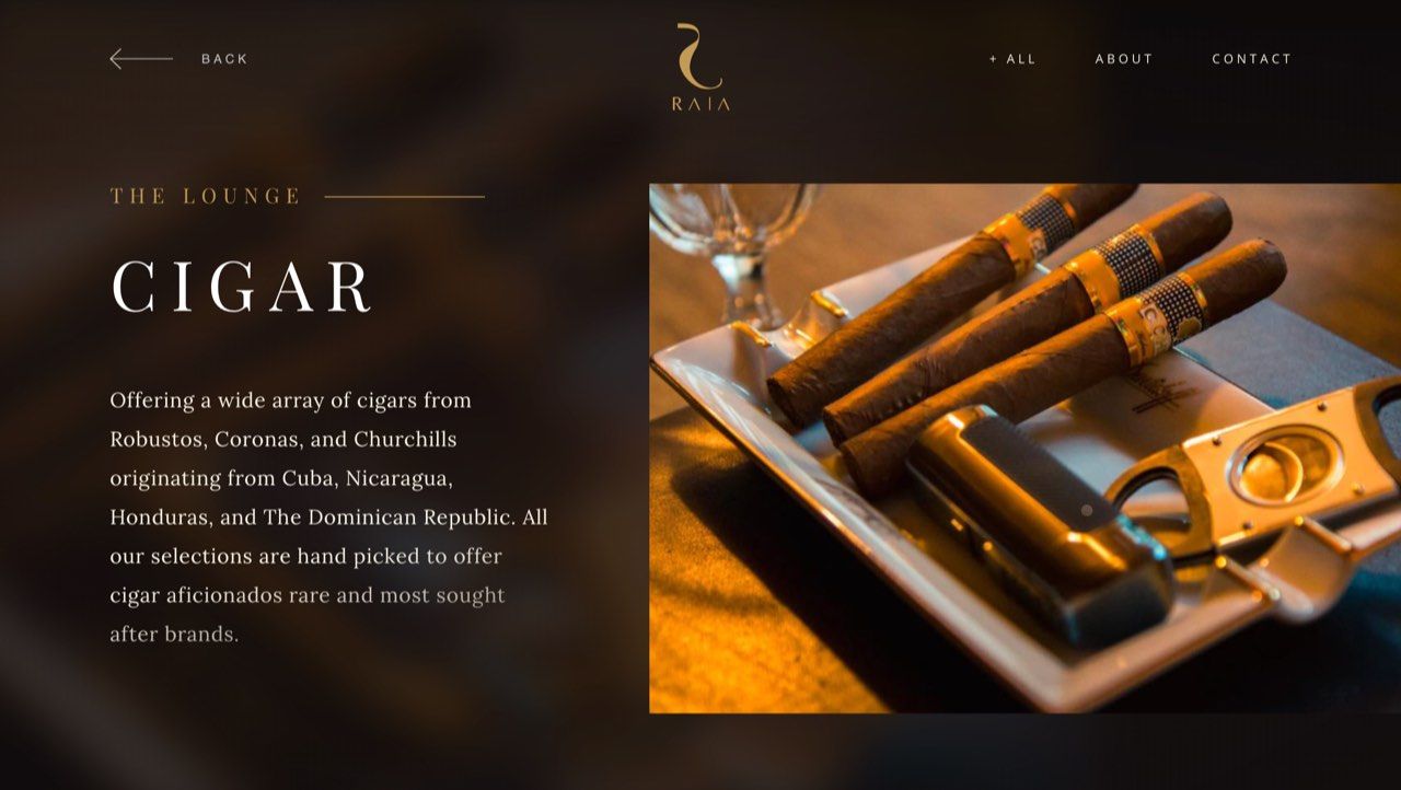 Club Raia — Website & UI UX Design by Fleava Digital Agency